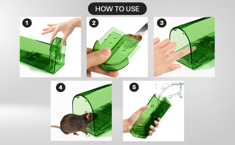 Cómo hacer trampas para ratas sin matarlas