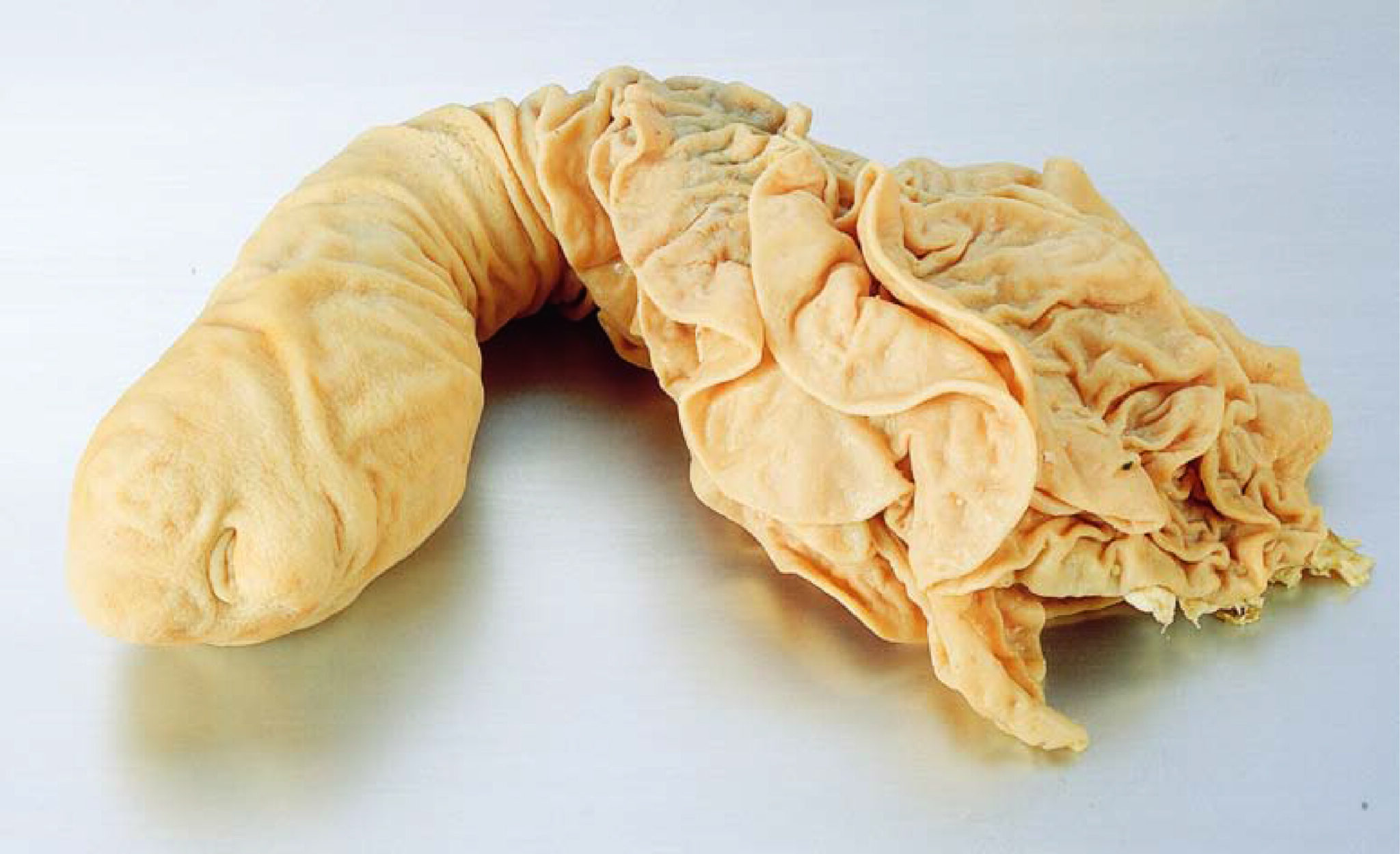Cómo se utiliza el cuajo de vaca para hacer queso