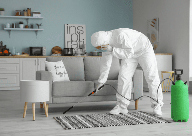 Cuánto tiempo debo esperar después de fumigar mi casa