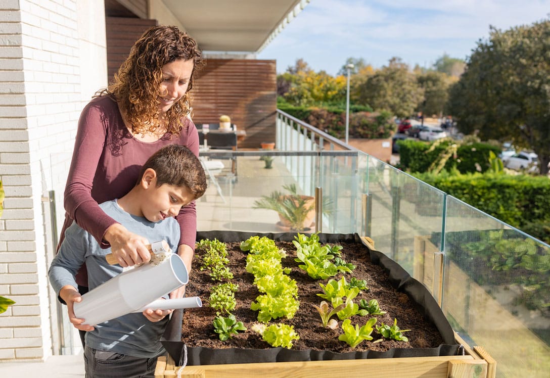 Cómo cultivar un huerto urbano sin sol directo