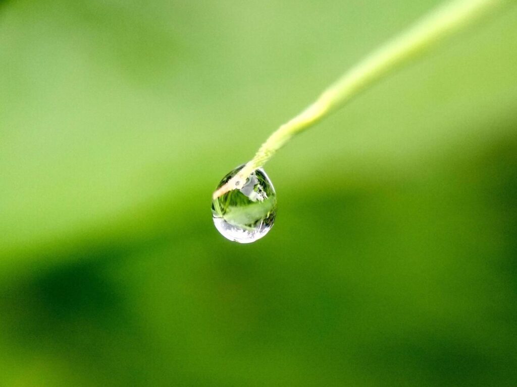 Por qué se dice que el agua es transparente