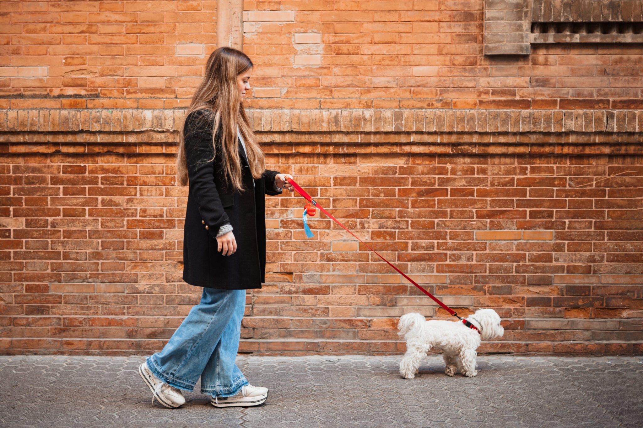 Cómo sacar a pasear al perro de manera correcta