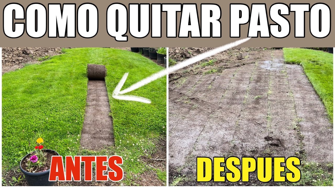 Cómo quitar el pasto y poner piso en el jardín