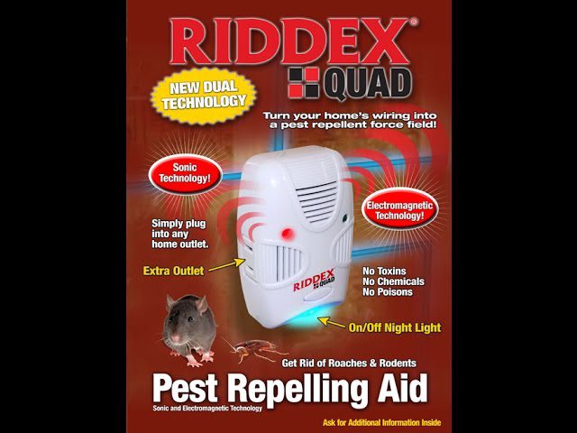 Cómo funciona Riddex Quad: Guía completa de uso