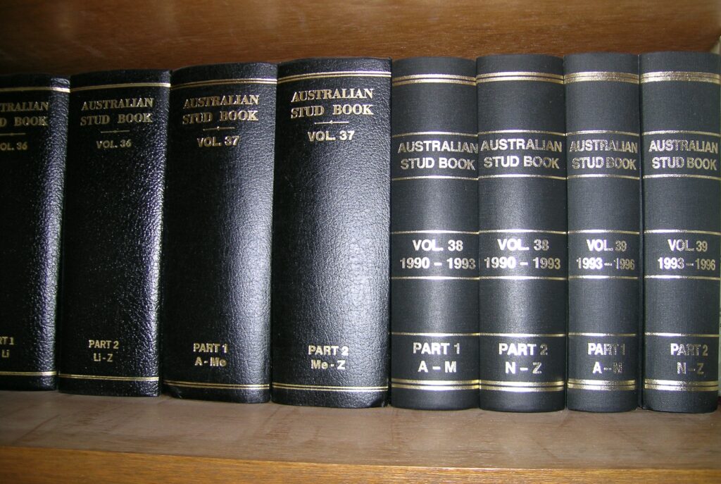 Qué es el Stud Book Argentino y cómo se registran las yeguas madres